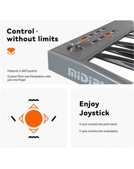 Roli Piano Midiplus Minicontrol USB MIDI Keyboard - 32 Mini Keys, Drum ...