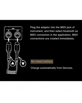 Avatar wireless MIDI Adaptor