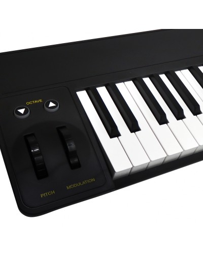 MIDIPLUS AK490+ USB MIDI Keyboard Controller with 49 Piano Style Keys